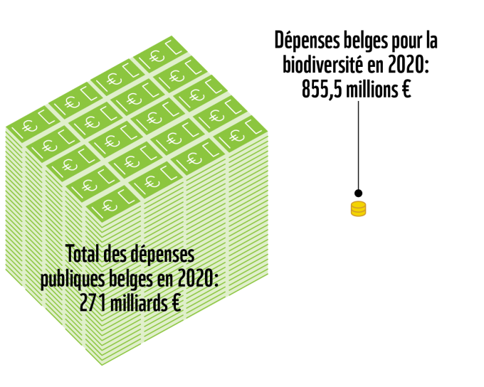 Nouveau rapport sur le financement de la biodiversité en Belgique | WWF Belgique